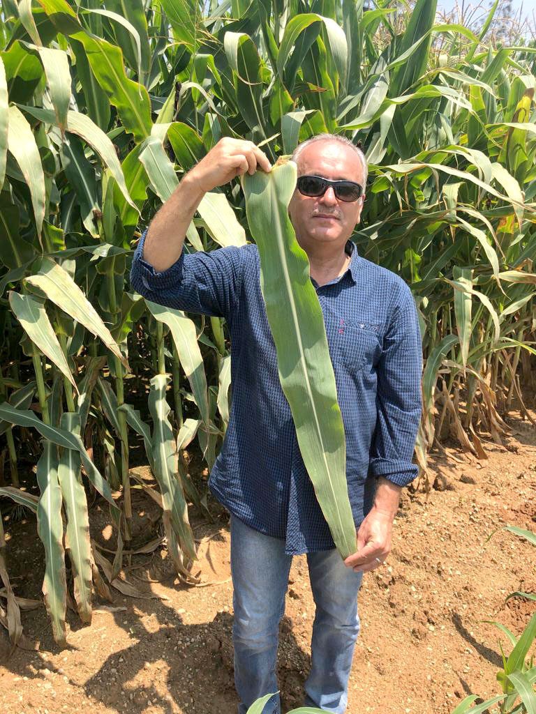 PHOTOS… SUCCESS OF THE MOST ADVANCED IRRIGATION SYSTEMS ALL OVER THE ...