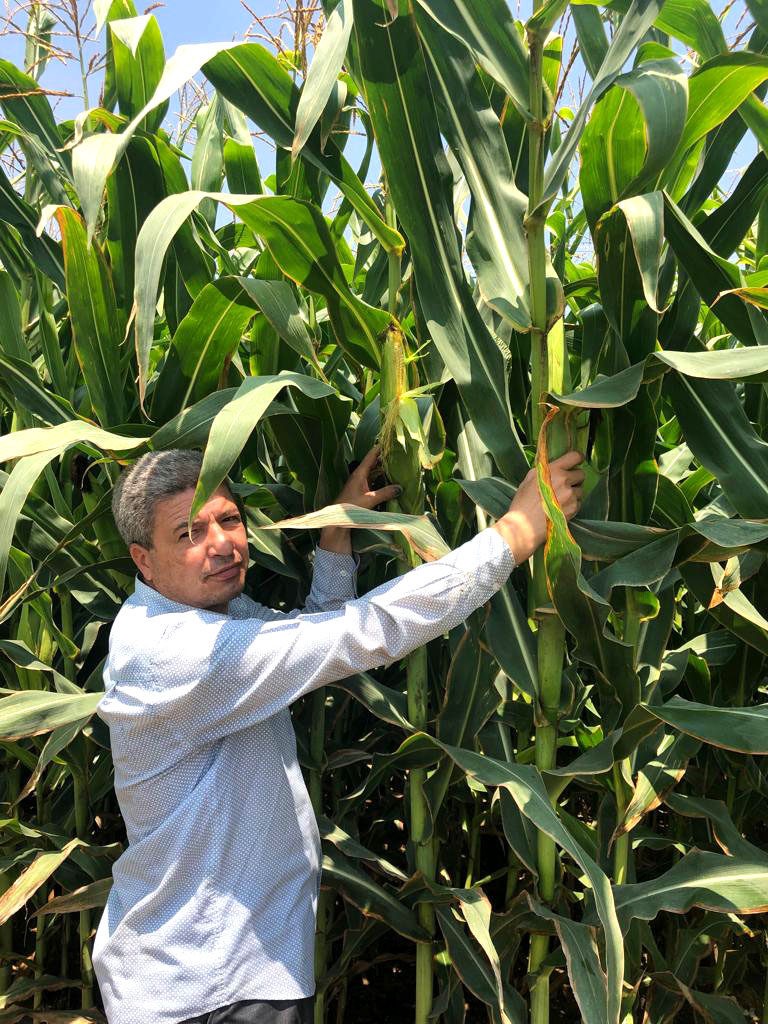 PHOTOS… SUCCESS OF THE MOST ADVANCED IRRIGATION SYSTEMS ALL OVER THE ...